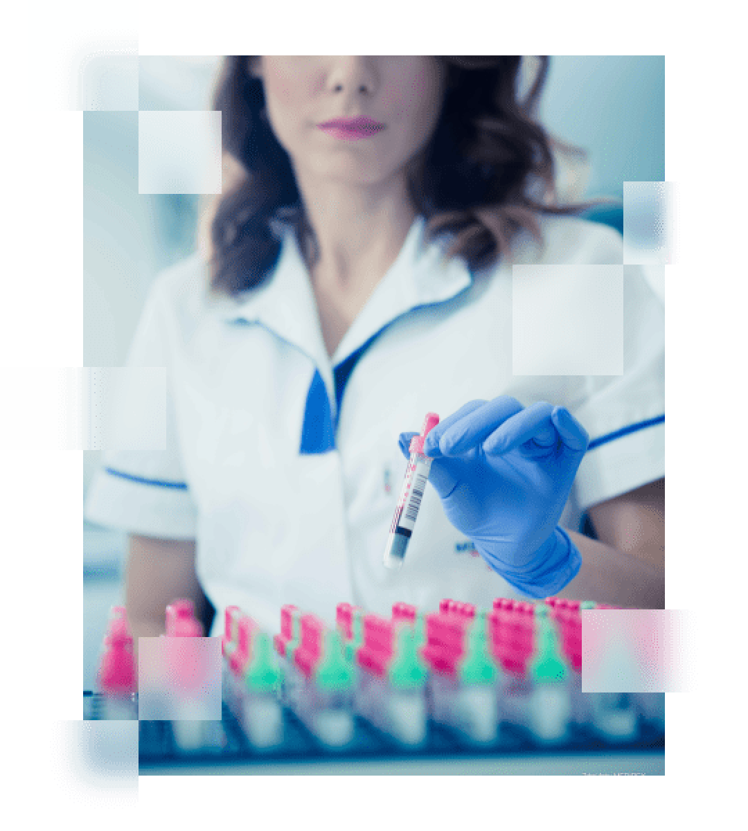 Medirex: Komplexná laboratórna diagnostika